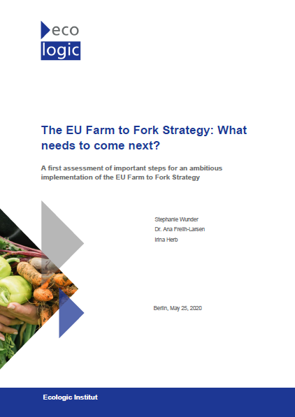 The EU Farm to Fork Strategy: What needs to come next? | Ecologic Institut